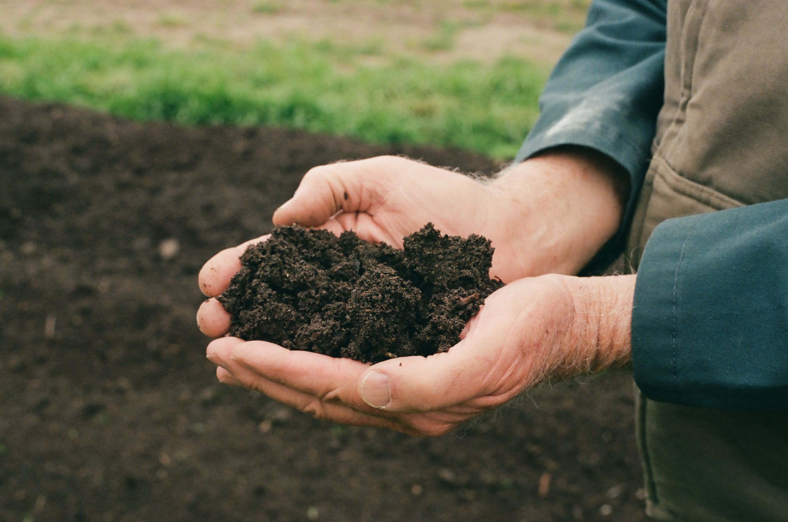 Process – Meadow Bread